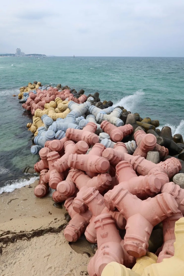 강원도 강릉 여행코스 And 맛집 가볼만한곳 사근진해중공원 전망대 최씨장칼국수 강릉닭강정 황토물회 메밀애감자 네이버 블로그