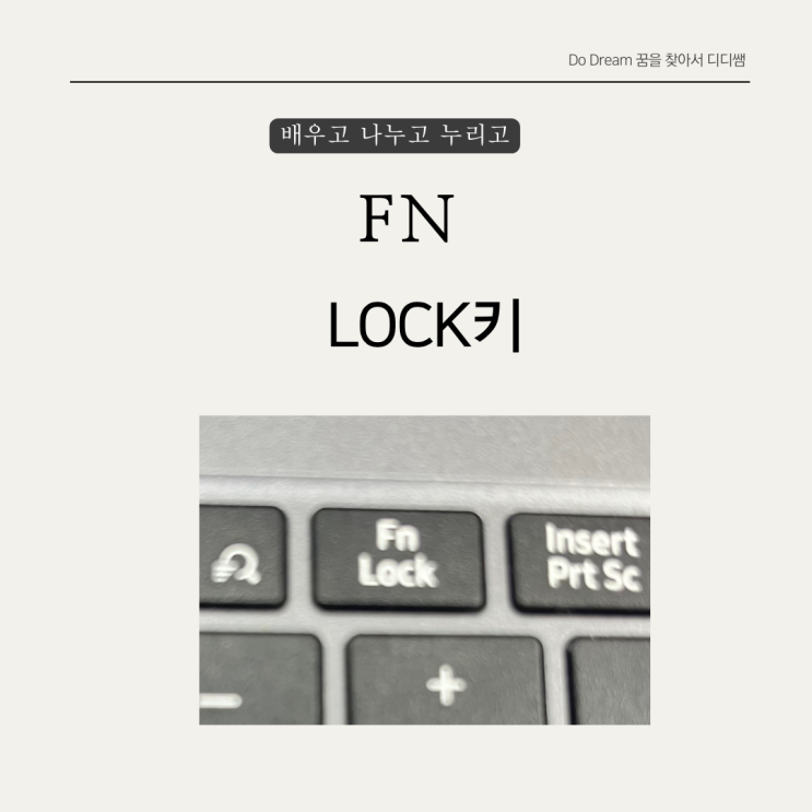 Fn Lock키 : 네이버 블로그