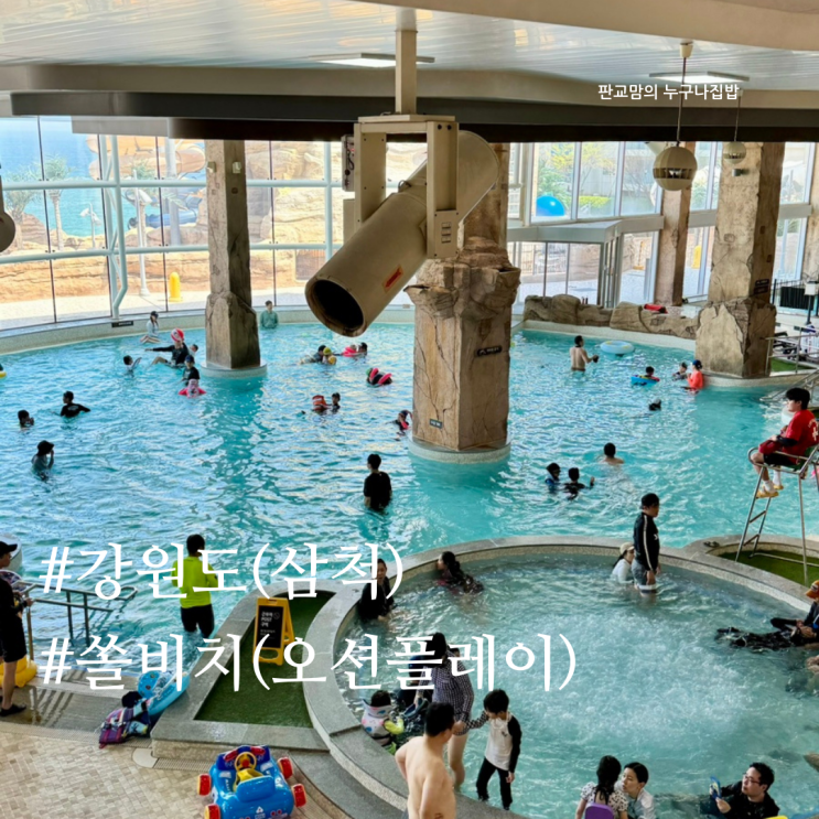 삼척쏠치비 수영장 오션플레이 이용후기 할인정보 이용요금 푸드코드 식당 네이버 블로그