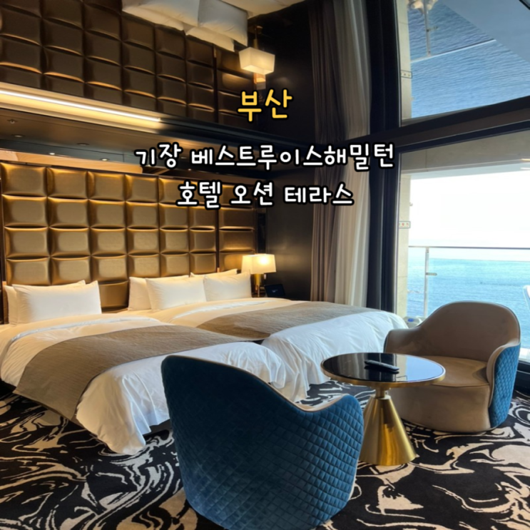 부산 기장 가족여행 10만 원대 가성비 숙소 베스트루이스해밀턴호텔 오션 테라스 히노끼탕 스위트 테라스룸 호캉스 솔직후기