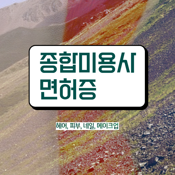헤어국가자격증 평가 준비 없이도 독학으로 이용사자격증 따고 샵까지 오픈한 비법 네이버 블로그