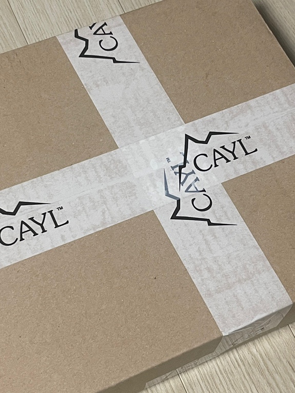 [review] 케일 eq 메쉬 쉘 캡 cayl eq mesh shell cap : 네이버 블로그