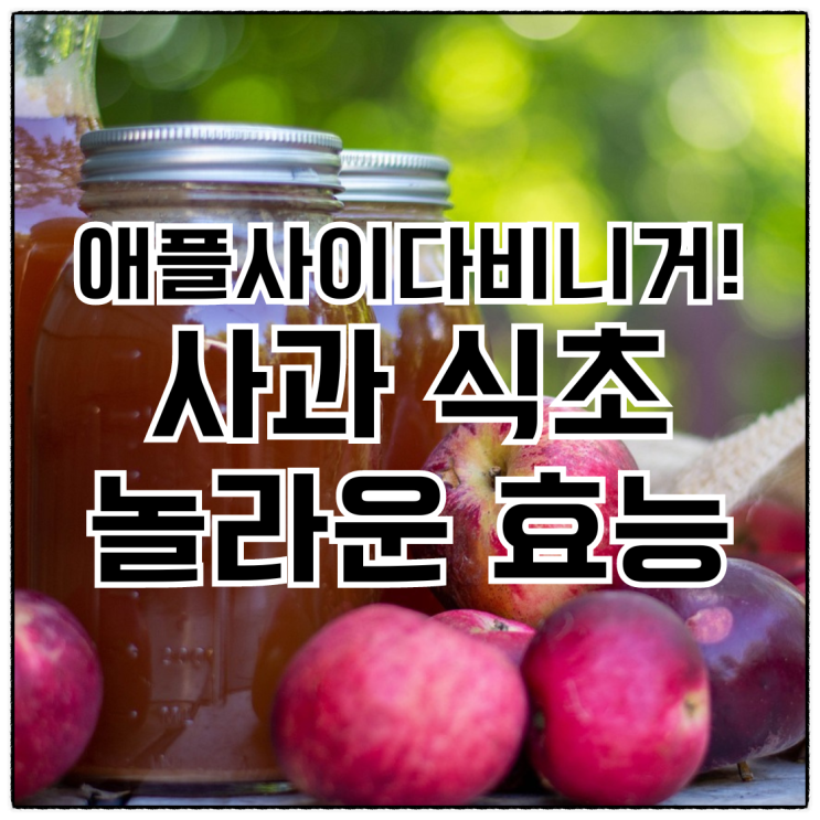 사과식초의 놀라운 효능애플사이다비니거 캡슐 2년다이어트 후기 네이버 블로그
