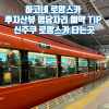 도쿄근교여행 신주쿠 로망스카 시간표 하코네 로망스카전망석 예약 후지산뷰 자리추천 네이버 블로그