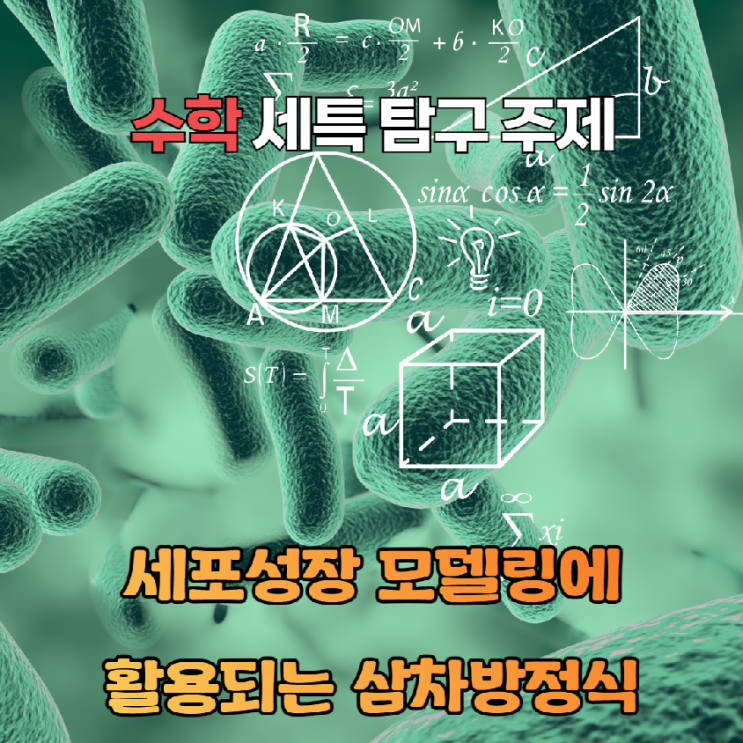의학 생명 수학 세특 탐구 주제 세포성장 모델링에 활용되는 삼차방정식 네이버 블로그