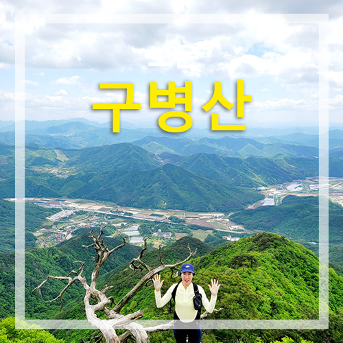 보은 구병산 등산코스적암마을~신선대~853봉~정상~원점회귀 완벽했던 적암리코스 네이버 블로그