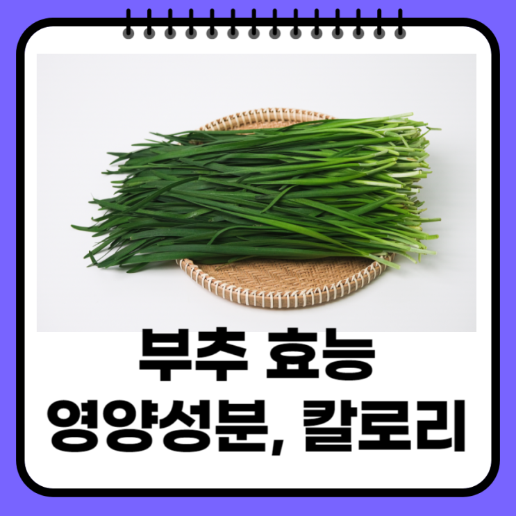 부추즙 부추의 효능 칼로리 먹는법 부작용 네이버 블로그