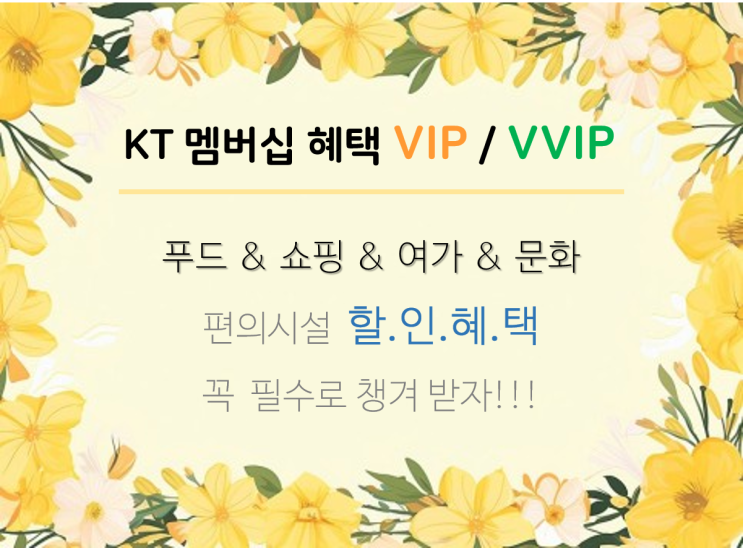 KT VIP/VVIP 멤버십 혜택 뭐가 있나? : 네이버 블로그