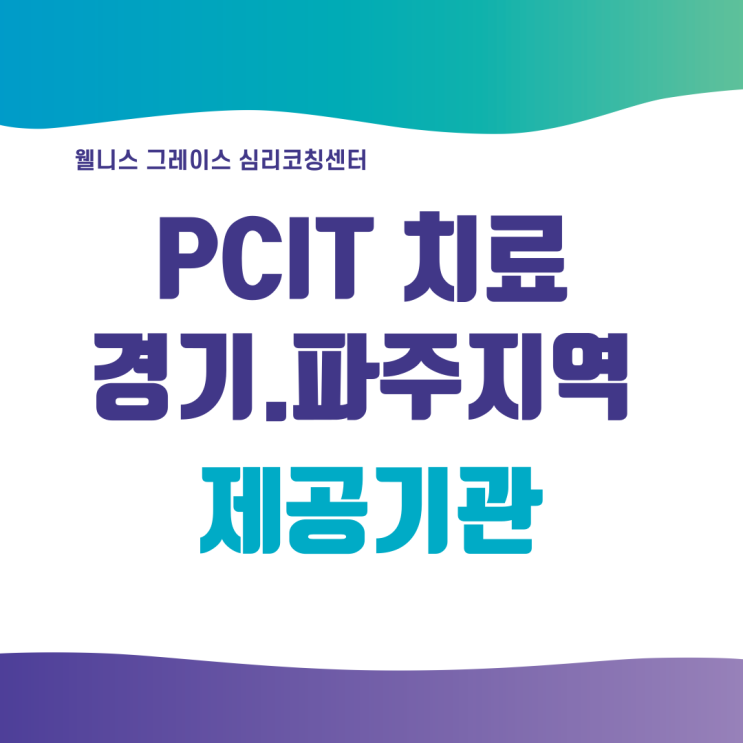 PCIT치료 제공기관회원인증서 : 네이버 블로그
