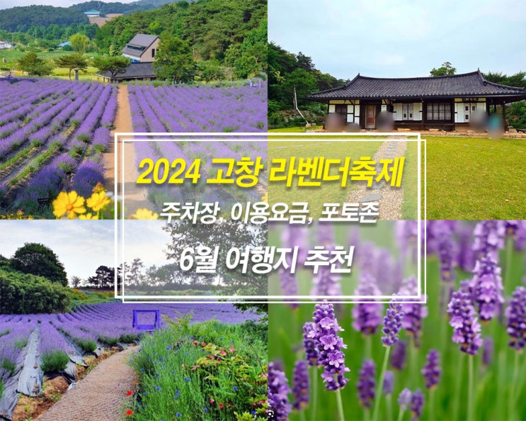 2024 고창 라벤더 축제 기본정보 주차장 입장료 총정리 Ft 꽃말과 효능 네이버 블로그