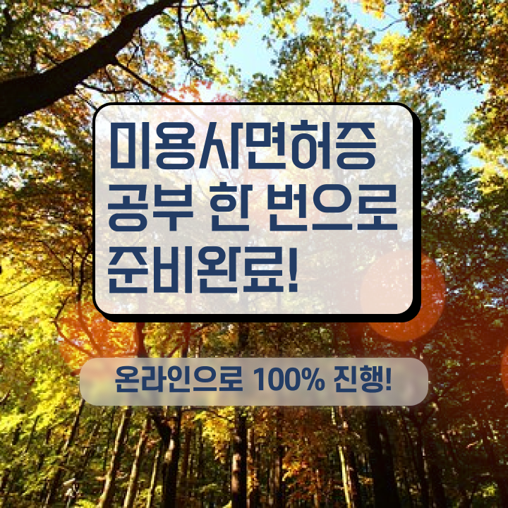 미용사 자격증 필기 평가 보지 않고도 독학으로 헤어자격증 따고 샵도 차린 과정 네이버 블로그
