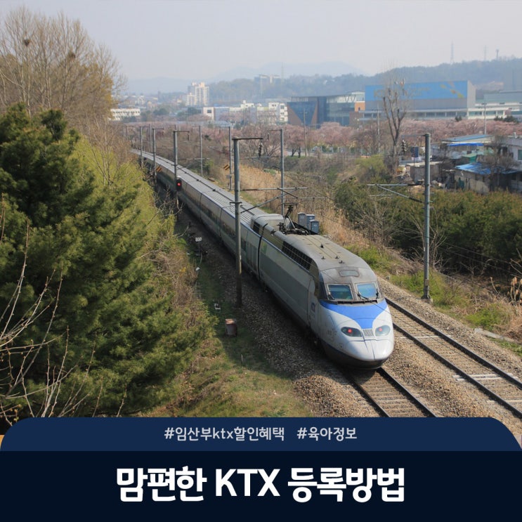 임산부 KTX할인 혜택 신청 맘편한 KTX 등록방법 : 네이버 블로그