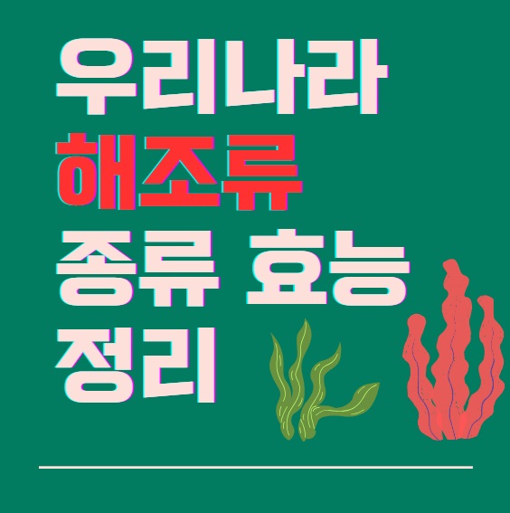 바다 해조류 종류 우리나라 미역 김 파래 영양 효능 네이버 블로그