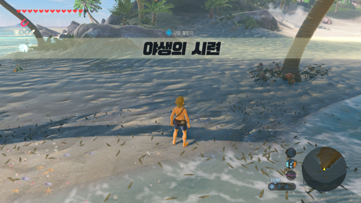 젤다 야생의 숨결 야숨 사당 챌린지 야생의 시련 네이버 블로그