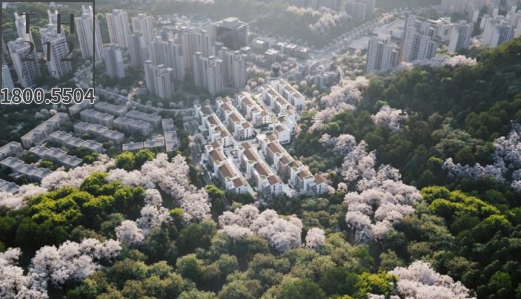 판교 TH212 아파트 테라스 하우스 분양 소식 : 네이버 블로그