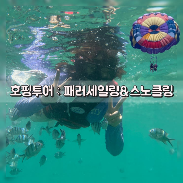 말레이시아코타키나발루 호핑투어 마무틱섬 예약 및 패러세일링 스노클링 후기 네이버 블로그