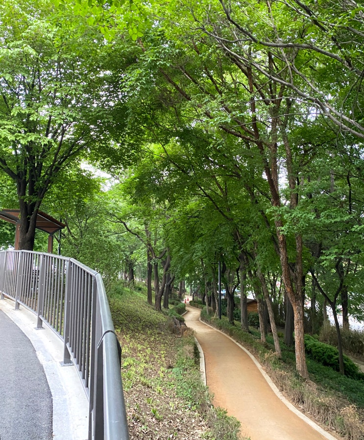 서울 성동구 맨발걷기 황토길 추천 송정제방길 서울 황톳길 황토길 어싱 맨발걷기 좋은곳 위치 주차 가는법 네이버 블로그