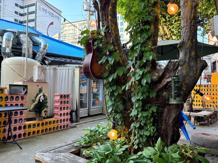 일상 모음 zip : 네이버 블로그