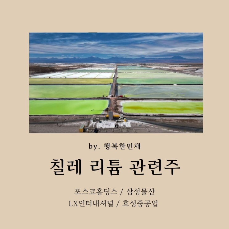 칠레 리튬 관련주 국내 기업 리튬 개발 사업 참여 포스코홀딩스 삼성물산 Lx인터내셔널 효성중공업 네이버 블로그
