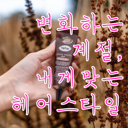커트지도사 응시자격 확인 커트지도사 자격증 온라인 교육으로 취득한 노하우 취업정보 네이버 블로그