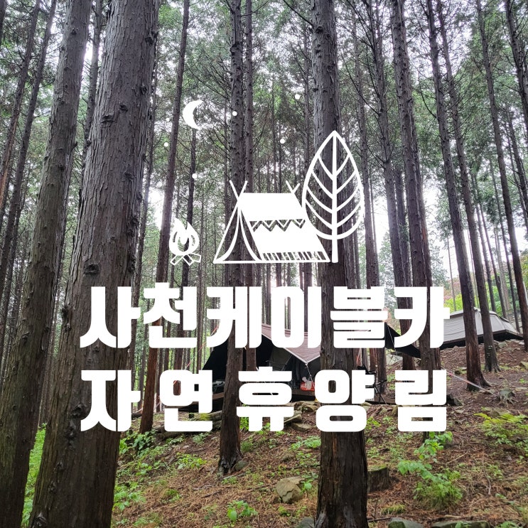사천케이블카 자연휴양림 야영장 캠핑장 편백나무숲에서 즐기는 진정한 힐링 숲 캠핑 네이버 블로그