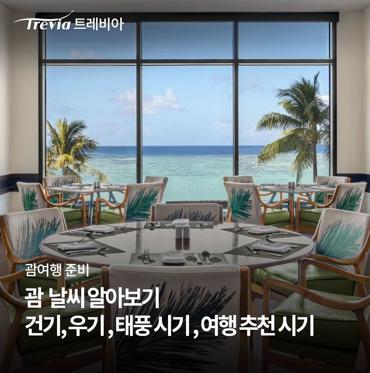 괌 5월 6월 7월 날씨 괌 태풍 시기 건기 우기 네이버 블로그