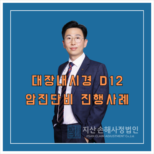 대장 내시경 D12 용종 고등급 이형성 암 진단비 지급 사례 부산 경남 손해사정사 High Grade Sysplasia