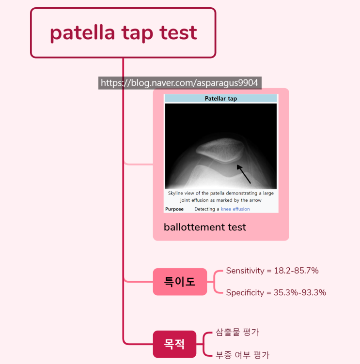 검사법 20. 슬관절 삼출액 평가 Patella tap test / Ballottement test : 네이버 블로그