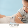 백일해 예방접종 성인 아기 임산부 백일해주사 시기 네이버 블로그