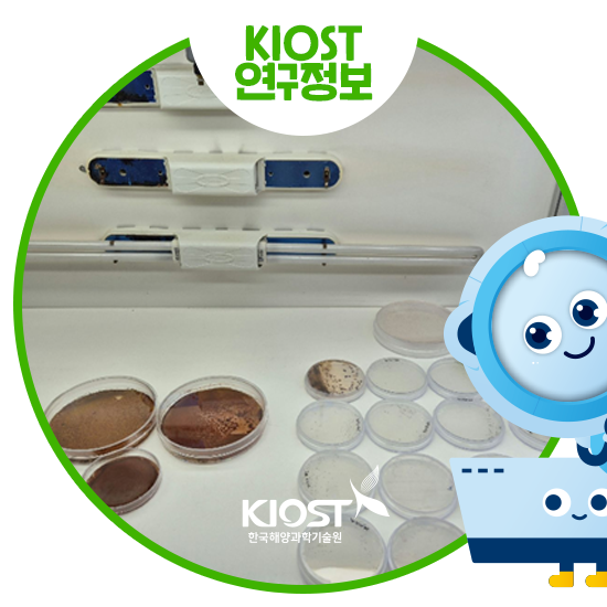 KIOST 천연 아스타잔틴이 풍부한미세조류 생산 비용 절감 기술 개발 : 네이버 블로그