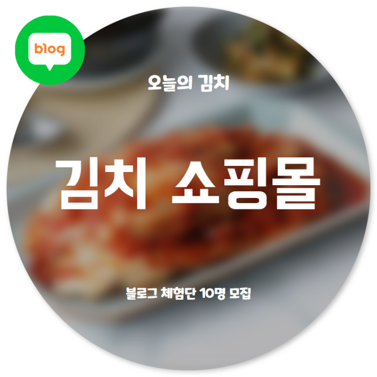 오늘의 배송 맛있게 매워서 먹고 나면 또 생각나는 매운 맛 오늘의 김치 쇼핑몰 리뷰어 모집 네이버 블로그
