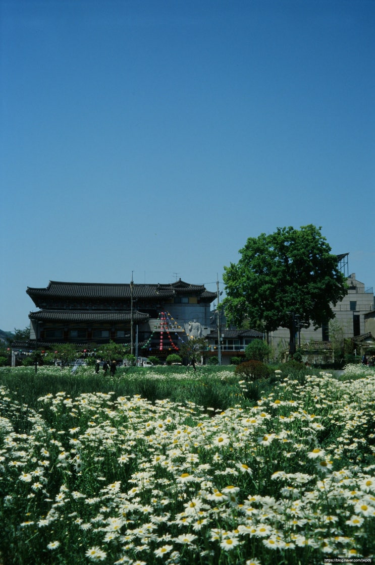 79. [슬라이드필름]코닥 엑타크롬 E100d (Kodak Ektachrome E100d） : 네이버 블로그