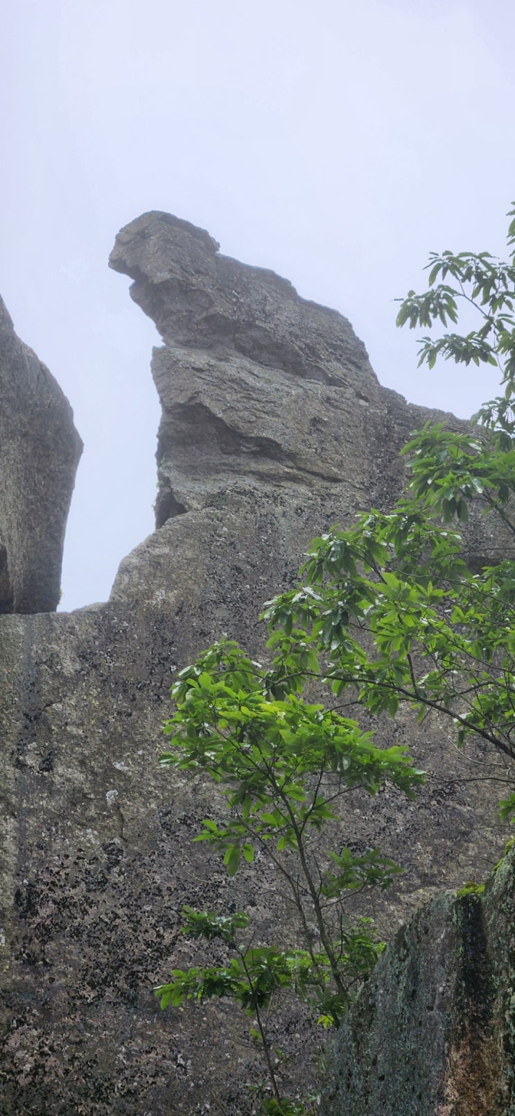 전남 오봉산 (343m) : 네이버 블로그