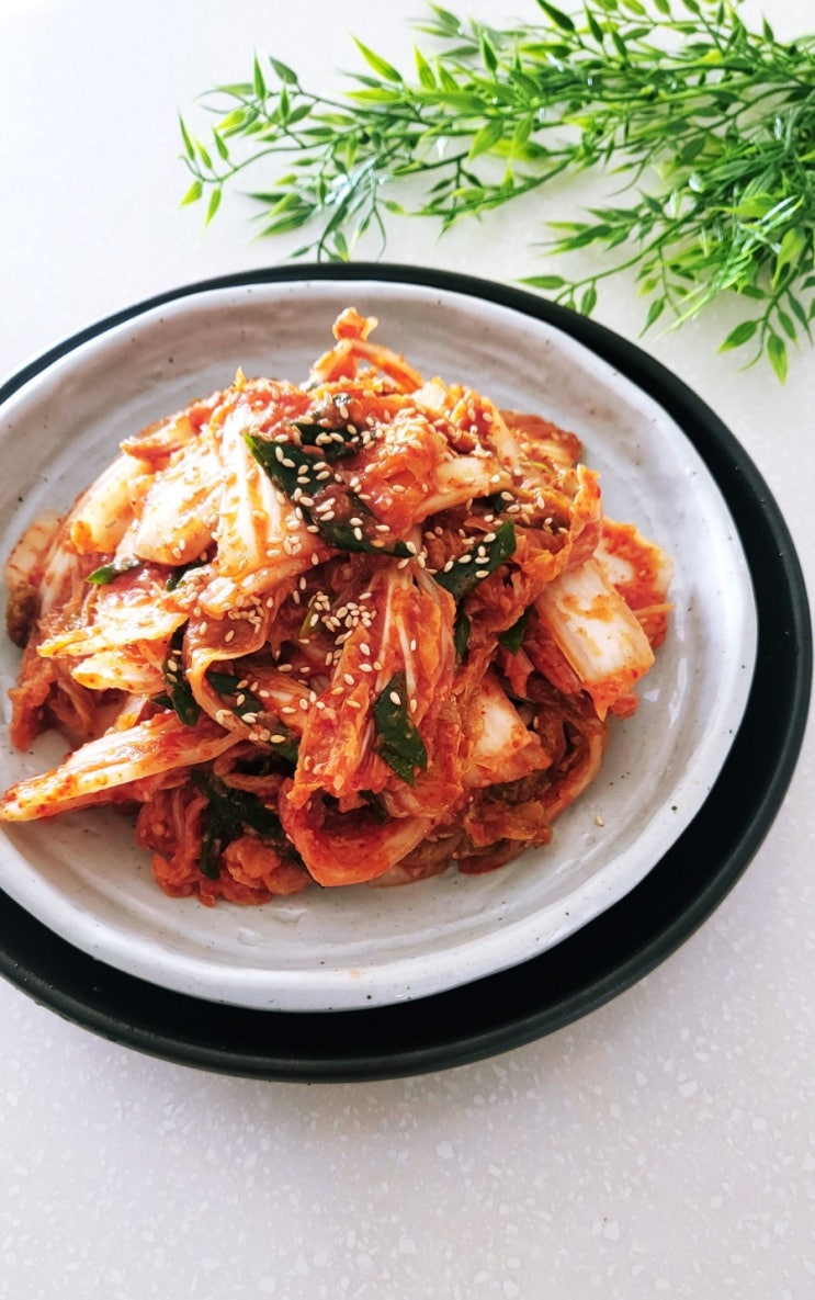 알배기 배추겉절이 만드는 법 알배추 반 포기로 맛있는 양념 넣어 담그기 네이버 블로그
