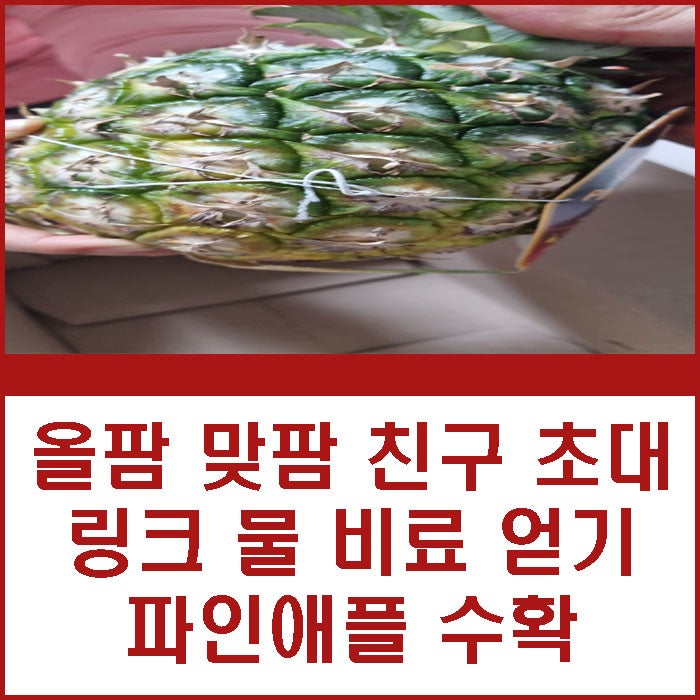 올팜 맞팜 친구 초대 링크 추가 하는법 물 비료 얻는 방법 올웨이즈 파인애플 수확 네이버 블로그