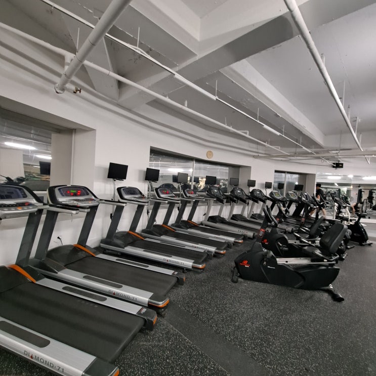 공복혈당 낮추는 법 연산동헬스장연산동피티 부산 연제구 연산동 24시 리드헬스 And Pt And Pilates 네이버 블로그