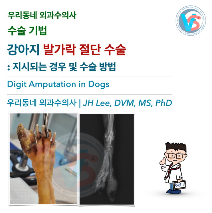[수술 기법] 강아지 발가락 절단 수술, 발가락 종양 Digit Amputation in Dogs - 우리동네 외과 수의사 ...
