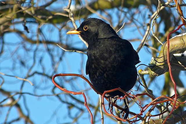 그녀는 그림 그리는 것을 좋아해 She loves painting and drawing : 네이버 블로그