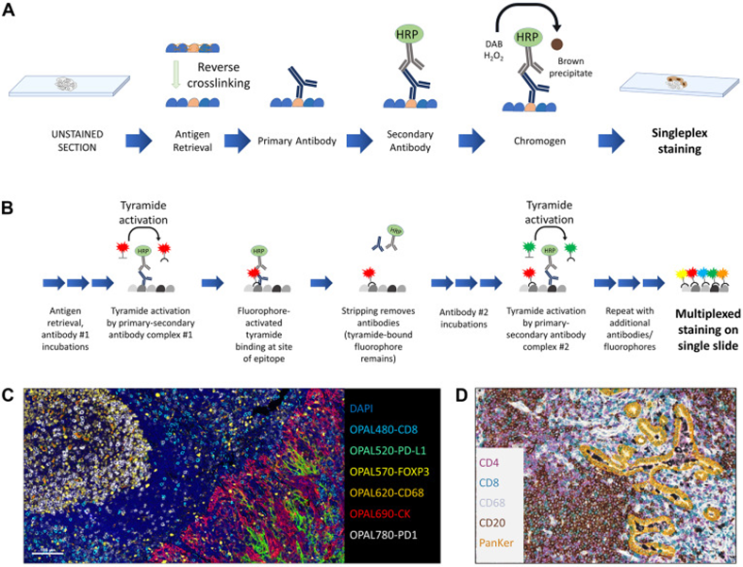 Cutting-edge Biotechnologies for Precision Oncology (2) Multiplexed ...