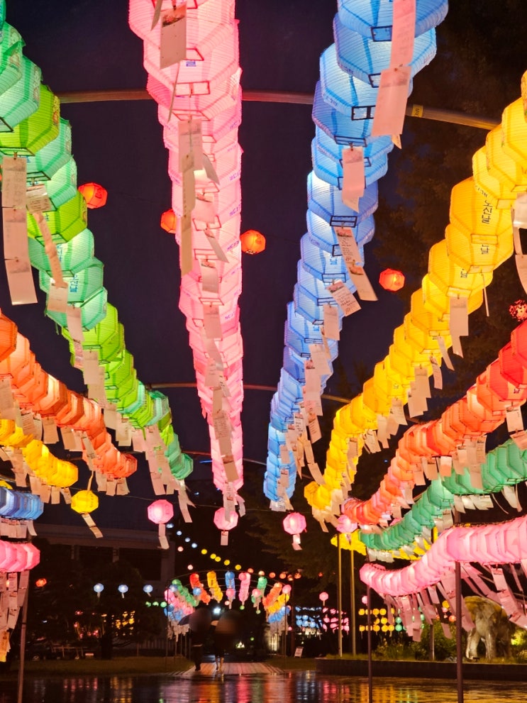 5월의 연등, 그리고 연등회의 행렬 : 네이버 블로그