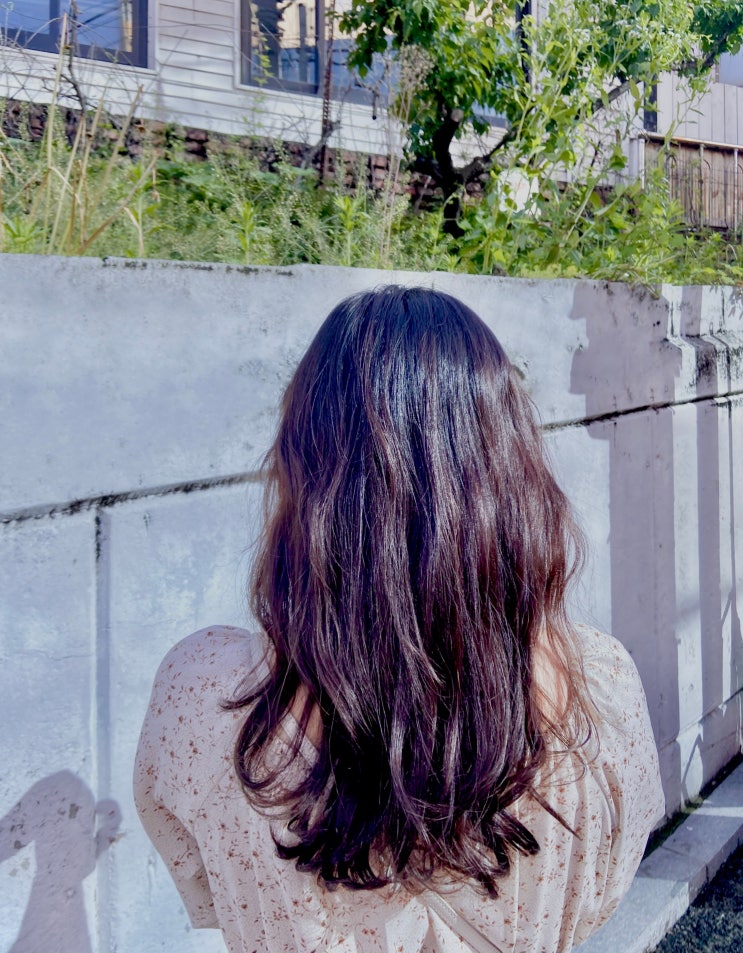 당산역 미용실 선유도 미용실 로이드밤 당산점 비오는날도 문제 없어요 펌 후기 네이버 블로그