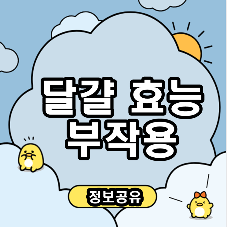 달걀 효능 부작용 건강에 금일까 독일까 네이버 블로그