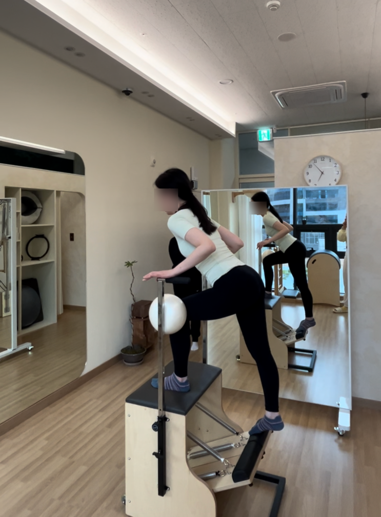 검단신도시 필라테스 물리치료사 재활전문 하우무브먼트 고관절 찝힘고관절 충돌증후군 케이스 네이버 블로그