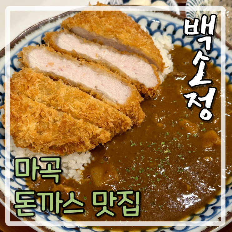 마곡 맛집 돈까스 백소정 마제소바 점심 추천집 네이버 블로그