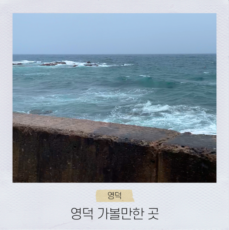 끝장나게 바다를 즐길 수 있는 영덕 울진 근처 아이랑 가볼만한 곳 추천 대게 맛집 보움 오션뷰 카페 해파랑공원 영덕 울진