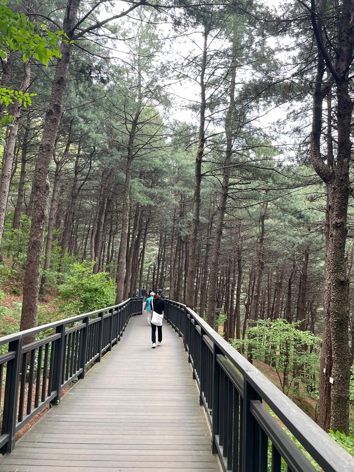 서울둘레길 12코스 호암산 구간 을 걸었어요 네이버 블로그