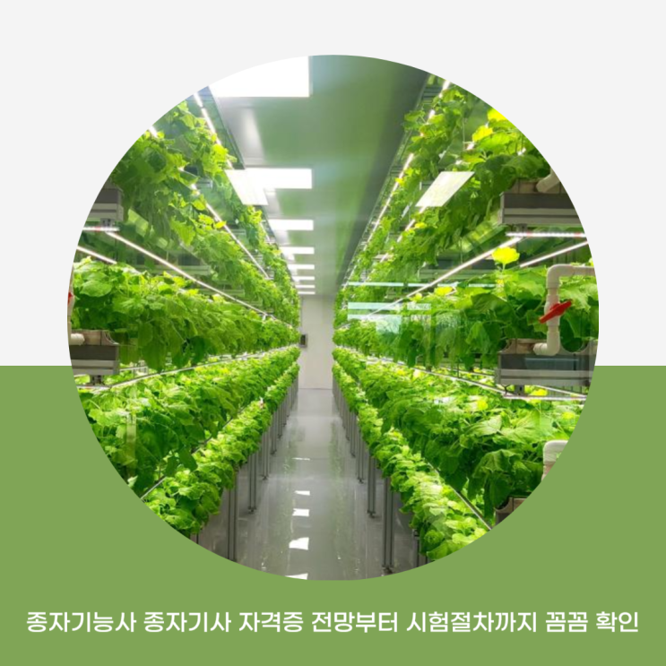 종자기능사 종자기사 자격증 전망부터 시험절차까지 꼼꼼 확인 네이버 블로그