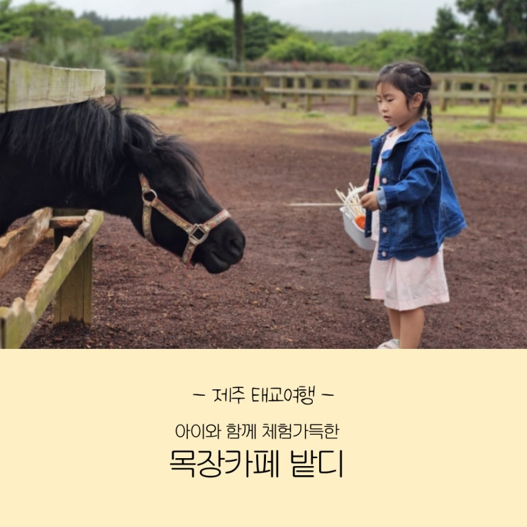제주도 아이와 함께 승마 먹이주기 이색자전거 모두 가능한 서귀포카페 목장카페 밭디 네이버 블로그