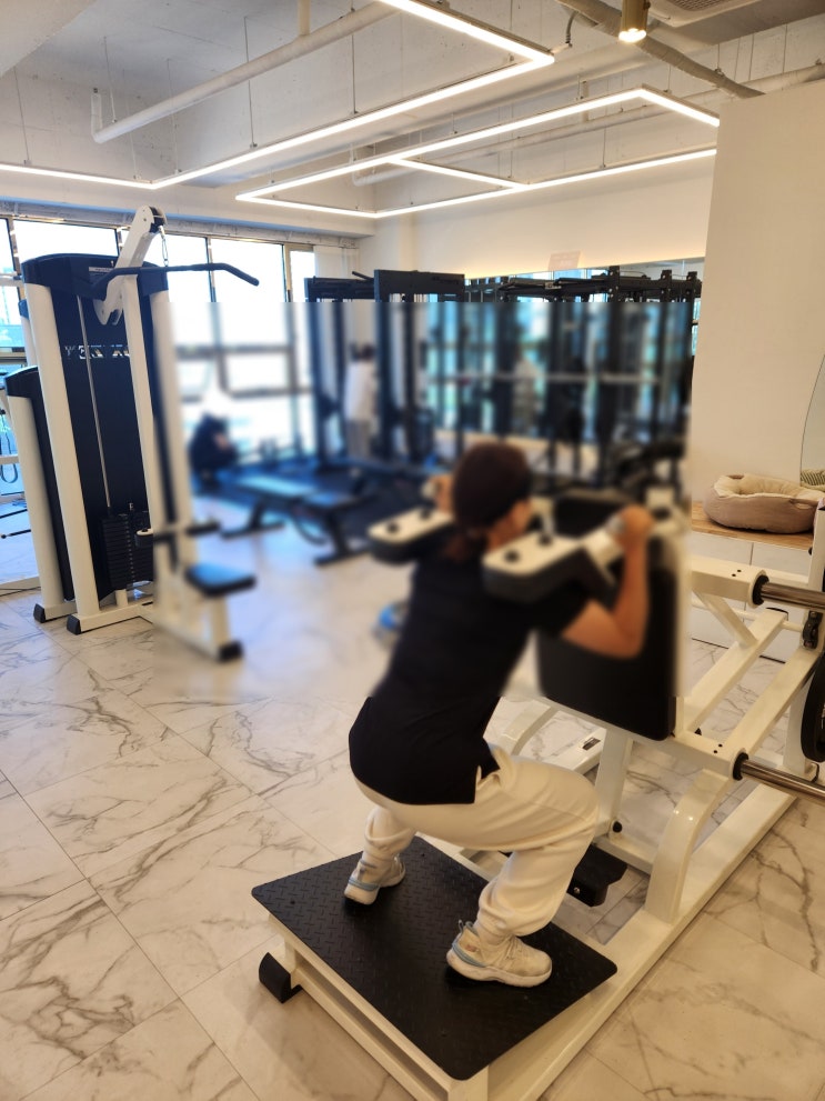 김포 장기동 그룹pt 헬스장 여자 근력운동으로 머신이랑 프리웨이트 중 네이버 블로그