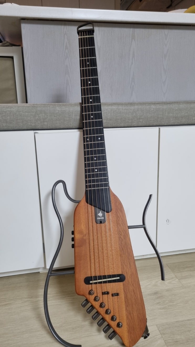 도너 Hush-1 사일런트 기타 구매 (밤에도 기타 연습 가능!) : 네이버 블로그